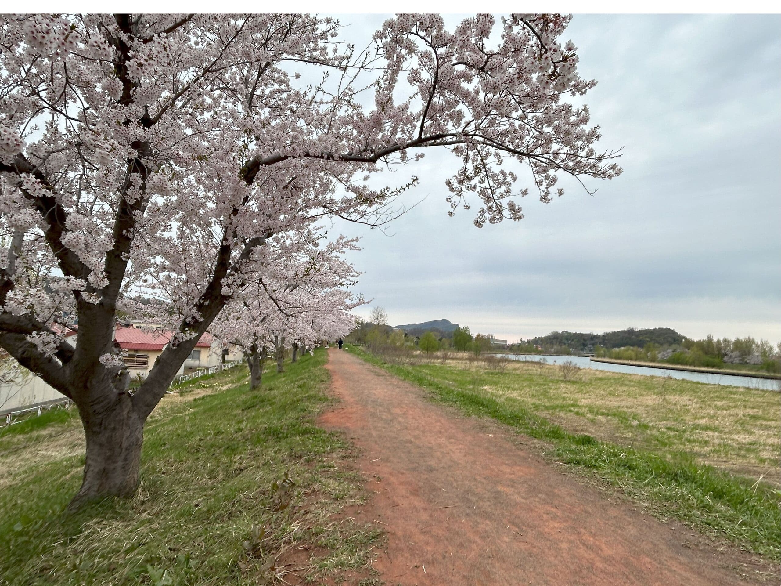 社会貢献│和田建設工業株式会社